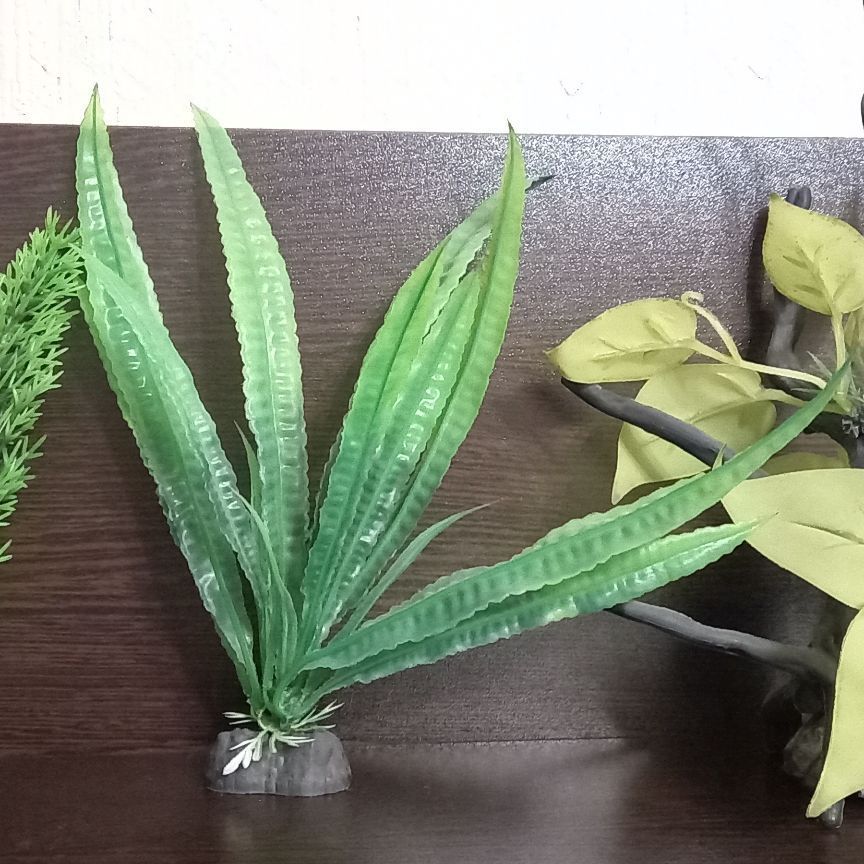 Искусственные водросли в аквариум