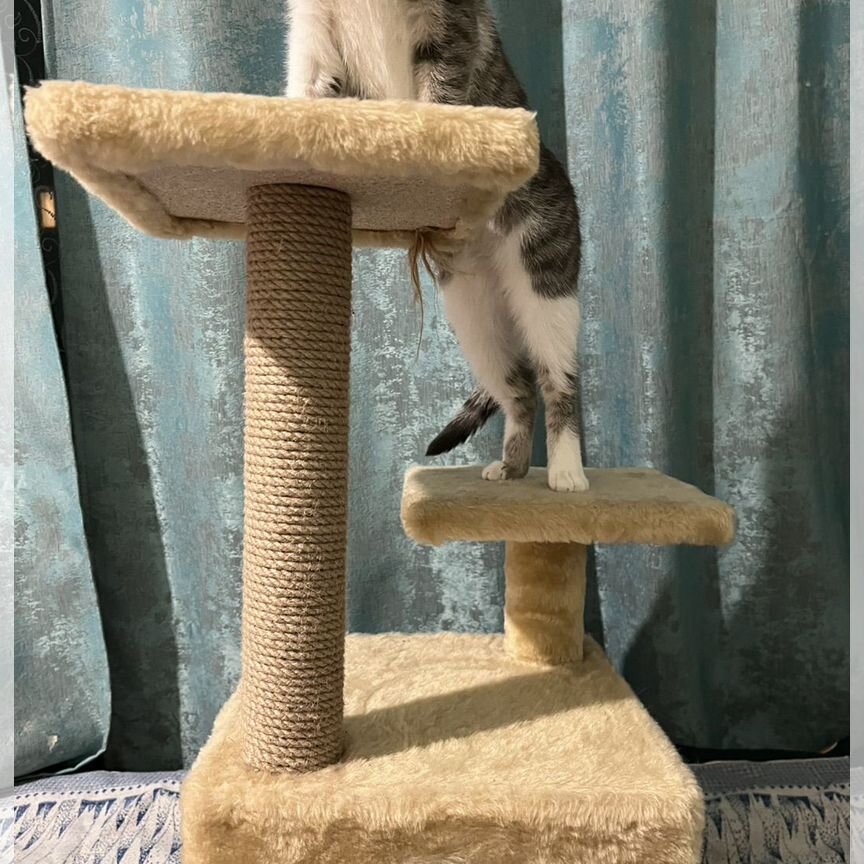 Домик для кошки с когтеточкой