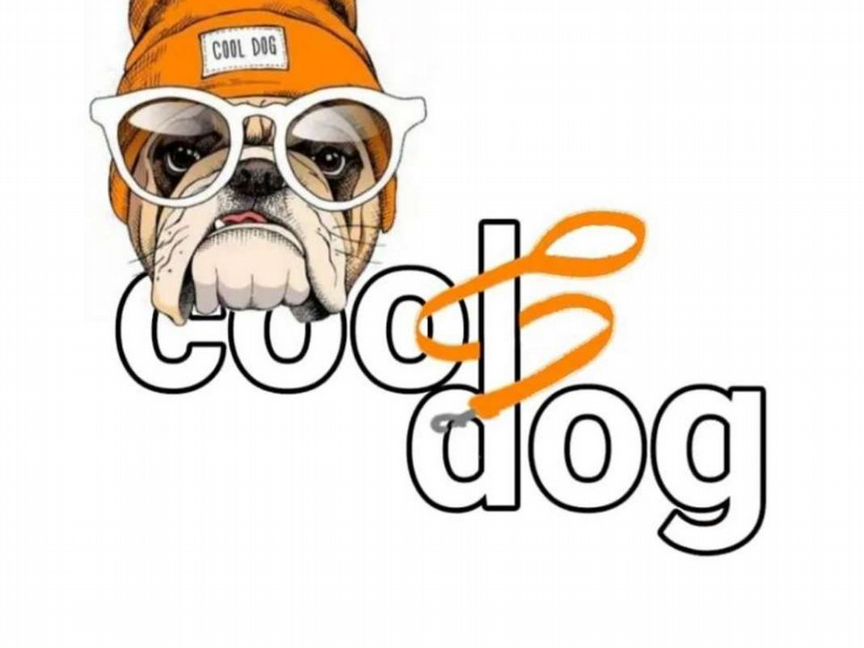 Ошейники и поводки для собак на заказ- cooldog