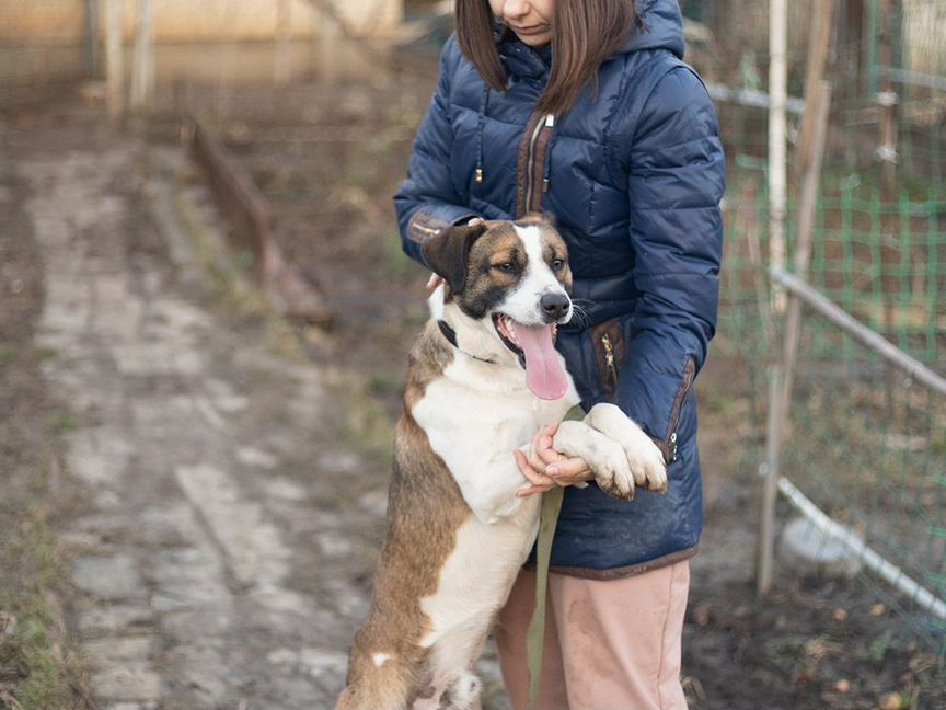 Красавчик Кенг ищет дом