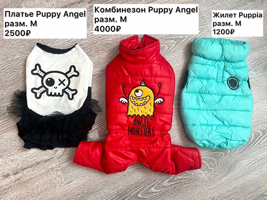 Puppy angel, M одежда
