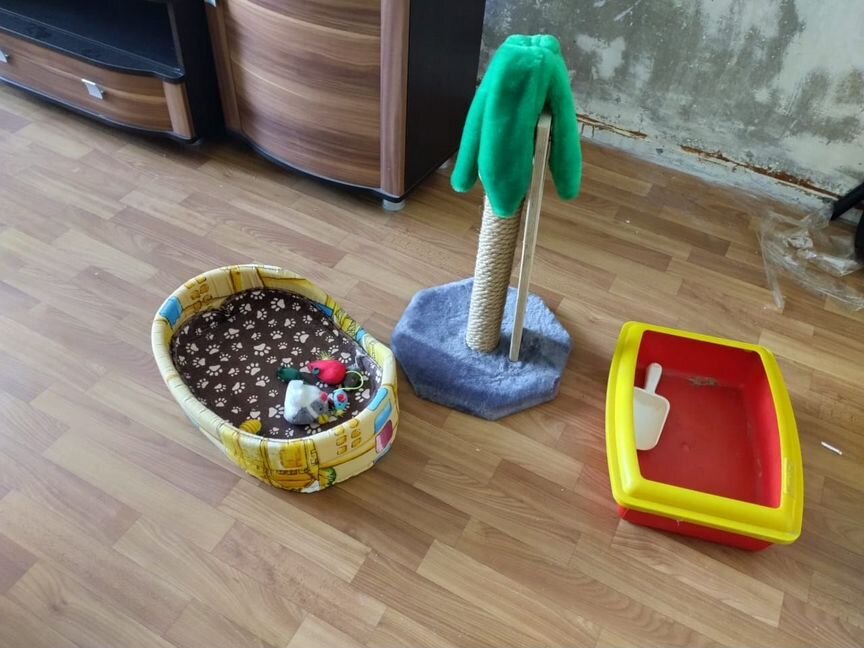Лоток когтеточка лежанка