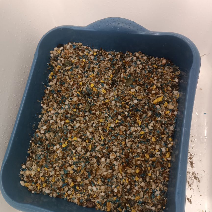 Аквариумные камни