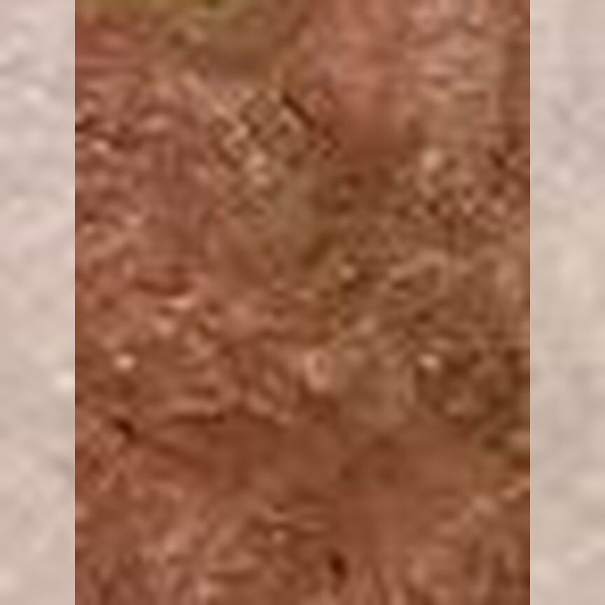 Трубочник изя