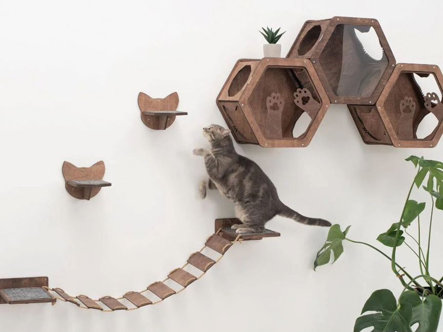 Домик для кошки на стену