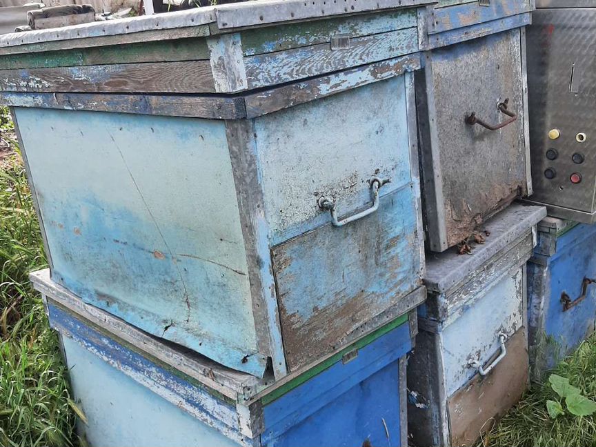 Улики для пчел