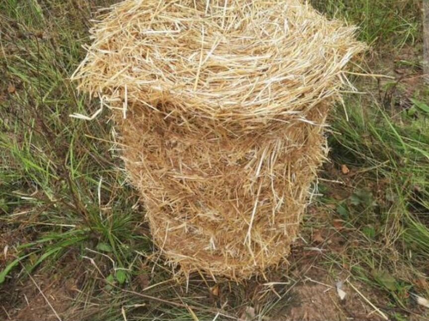 Солома в рулонах