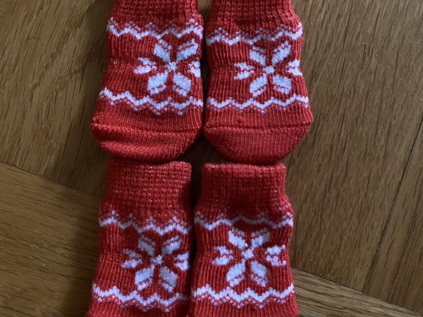 Носочки для собак