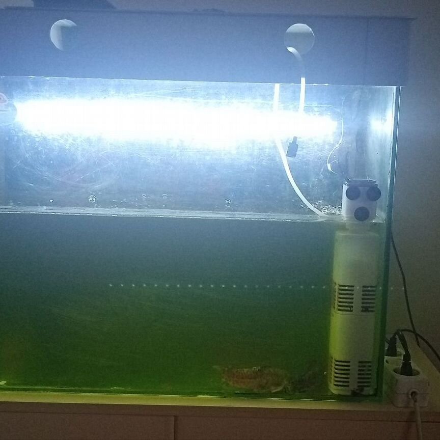 Аквариум 200 литров с рыбами, лампой и фильтром