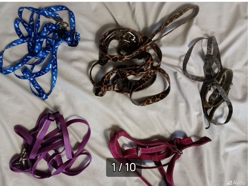 Шлейки для маленьких собак или кошек