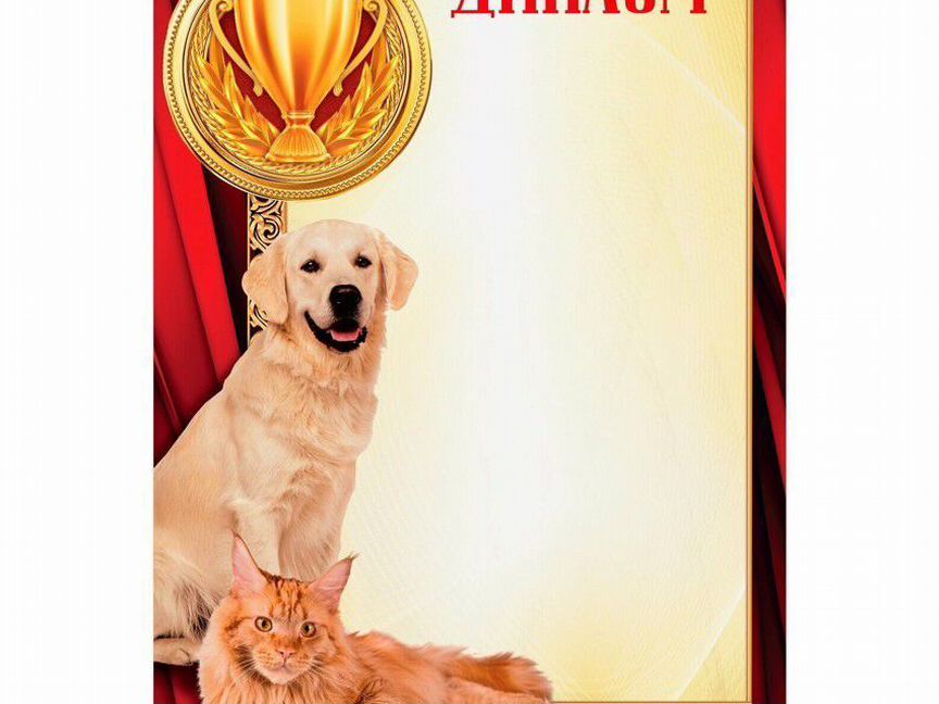 Документы для разведения,на кобеля малого шпица