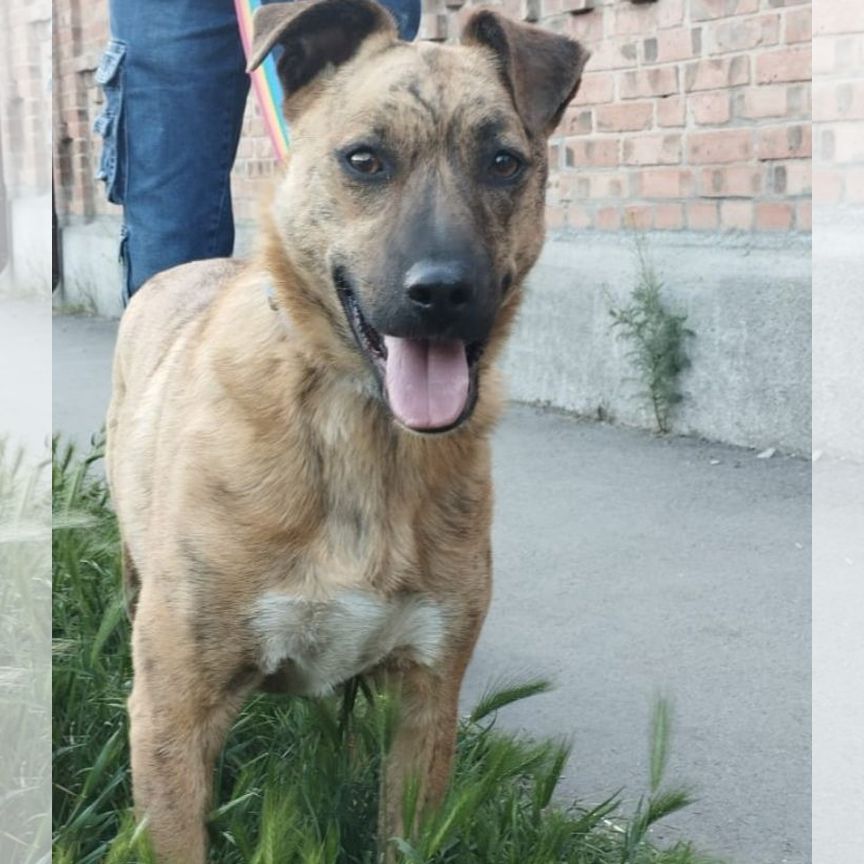 Нужен домой особенной девочке