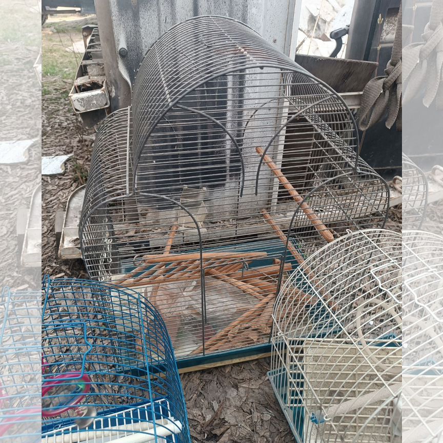 Клетки для попугая