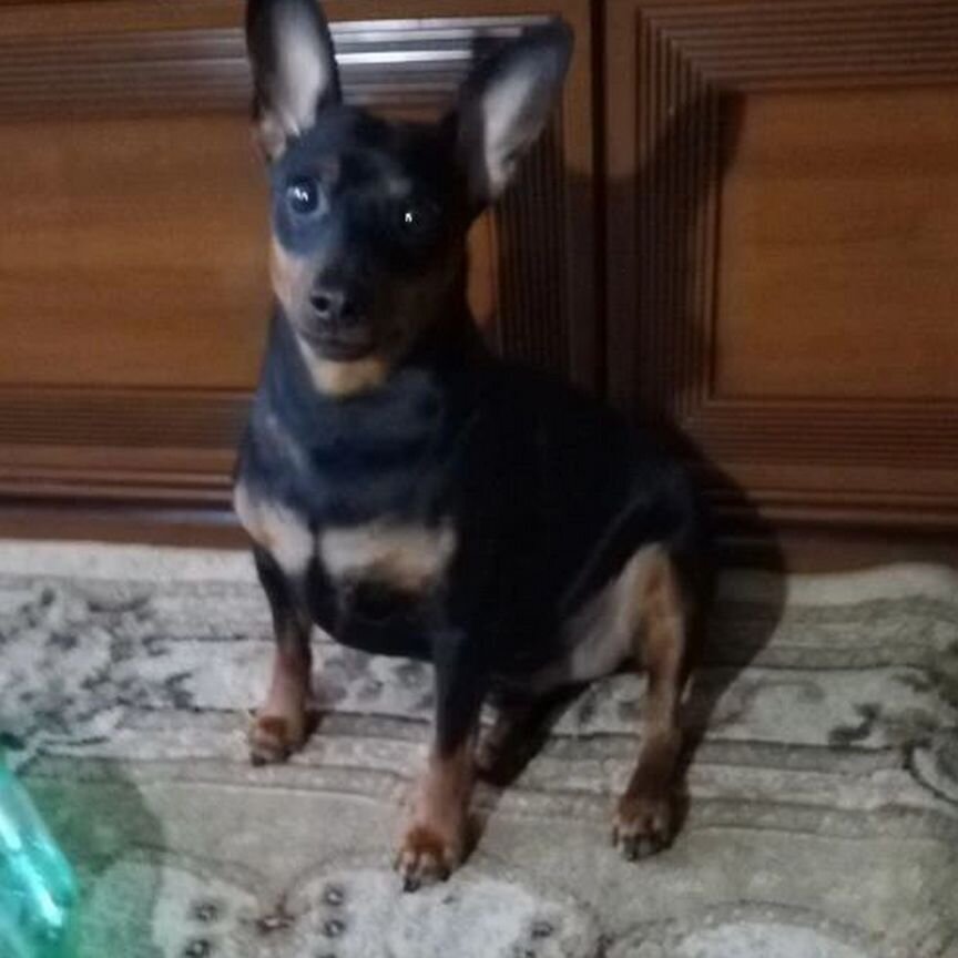 Кабель для вязки