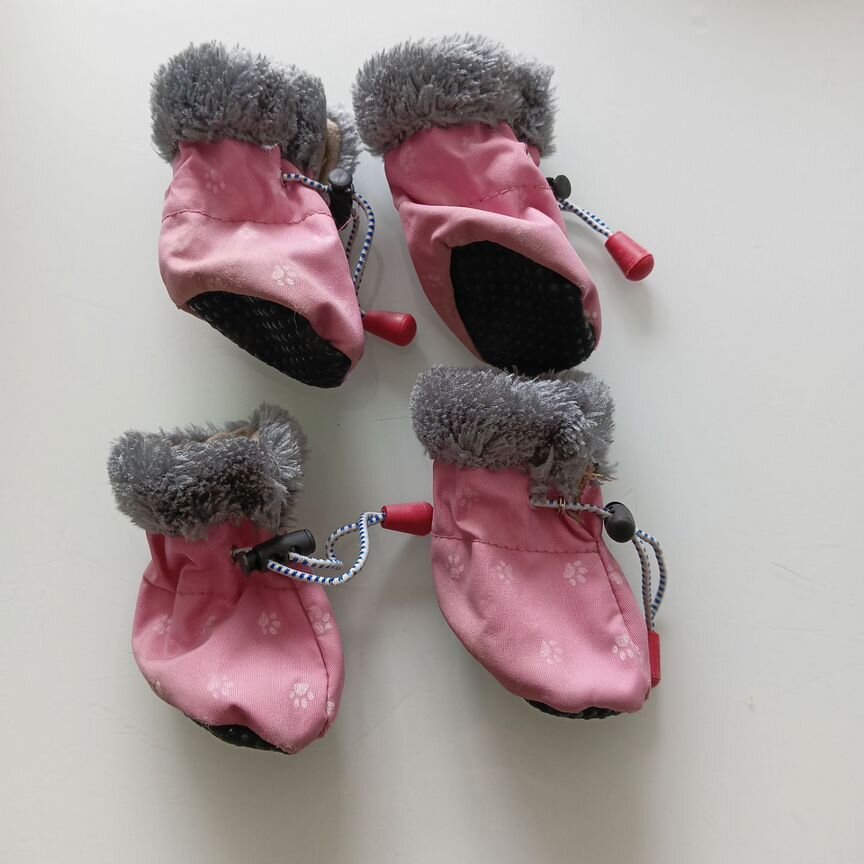 Обувь для собак