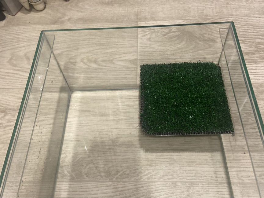 Аквариум для черепах