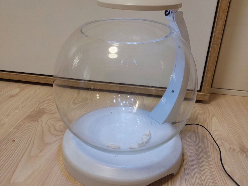 Аквариум шар с подсветкой 5 л