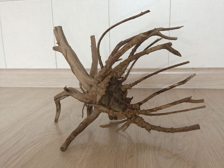 Коряга для аквариума, террариума, акваскейпинга