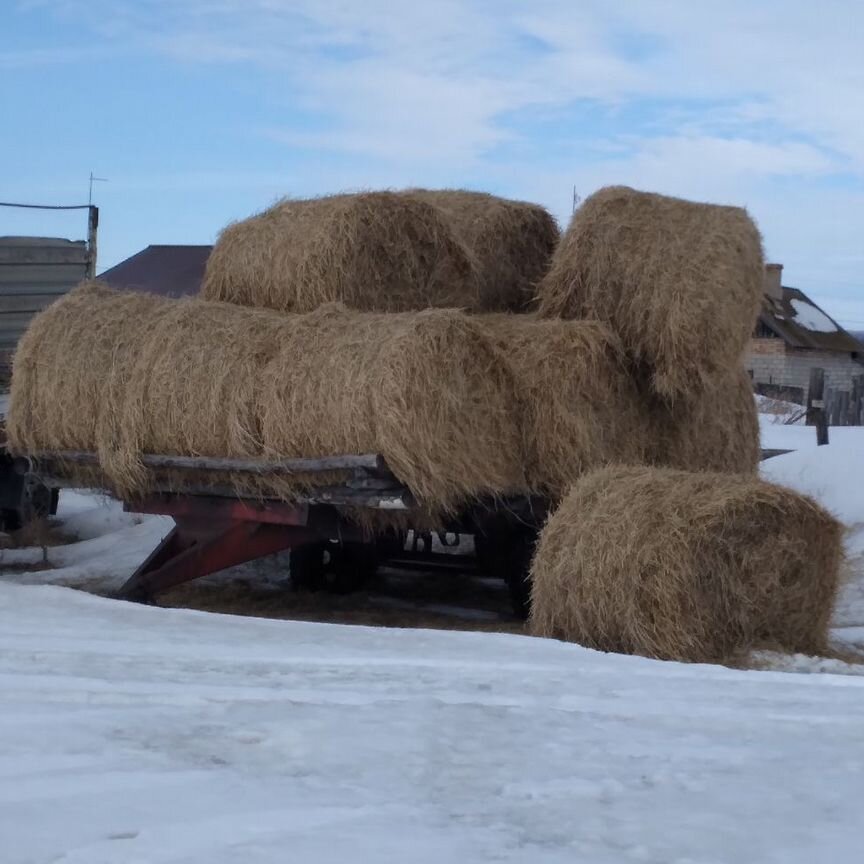 Солома в рулонах