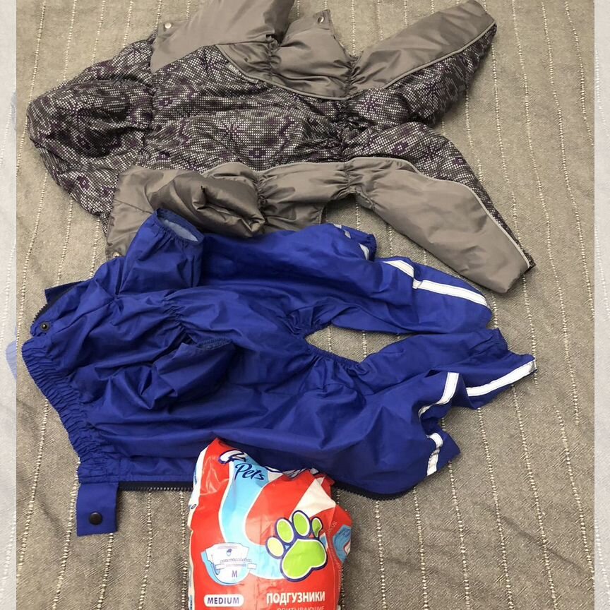 Одежда для собак мелких пород