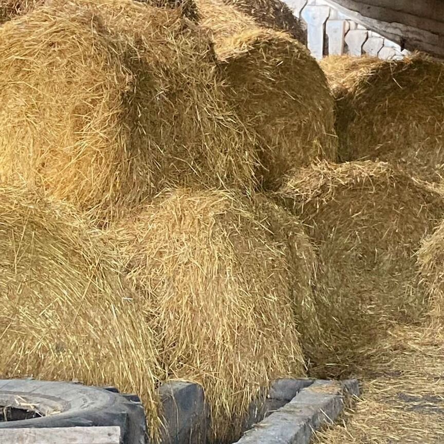 Сено солома в рулонах