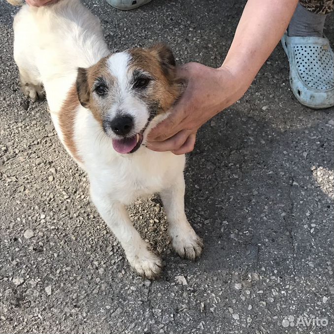 Девочка в надежные ручки