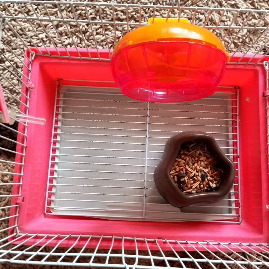 Клетка для хомяка