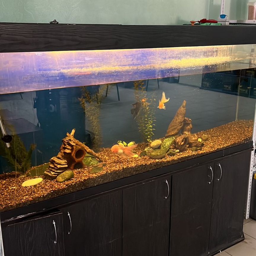 Аквариум с тумбой 600 л бу