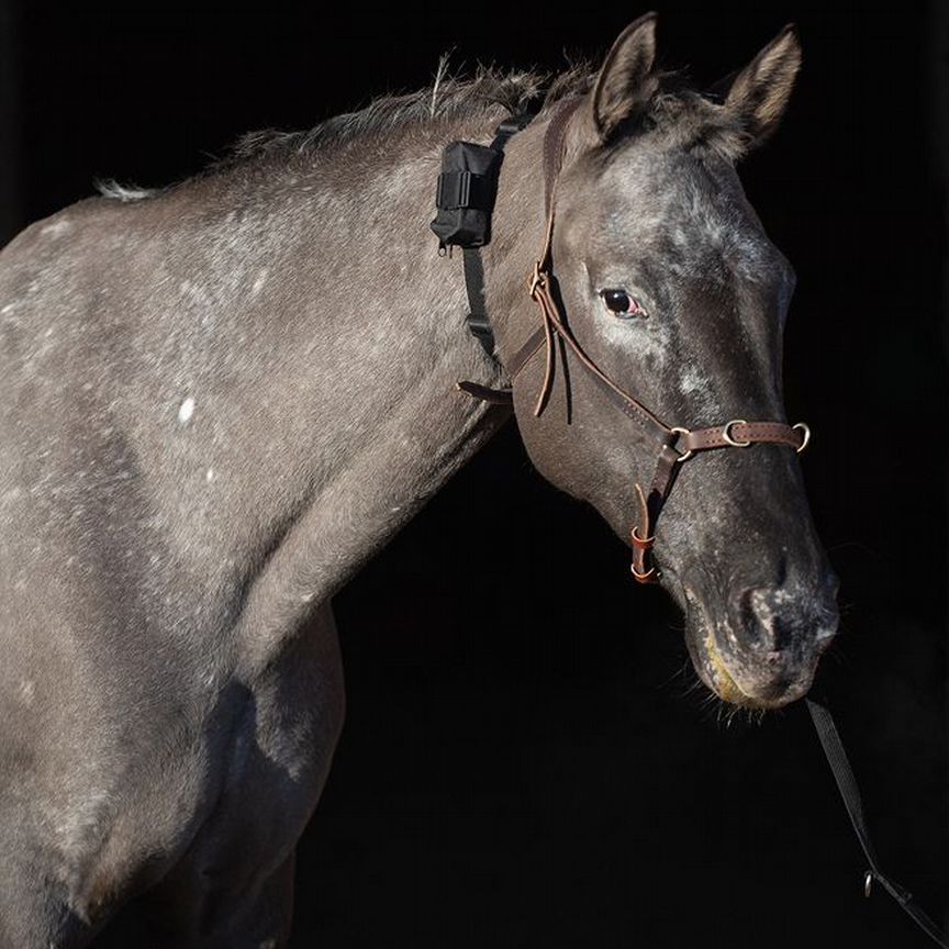 Ошейник для крс