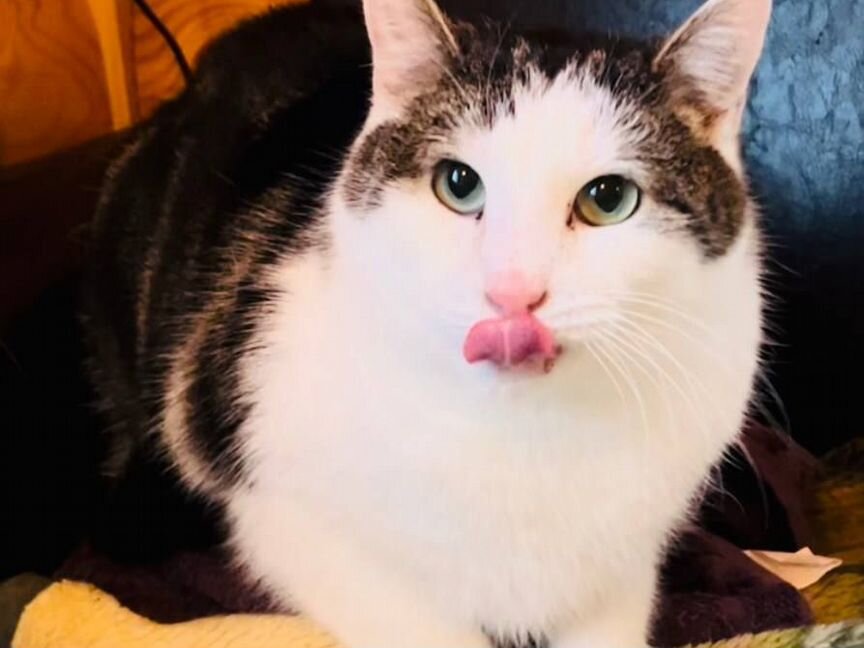 Европейская