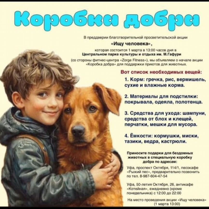 Собаки ищут дом