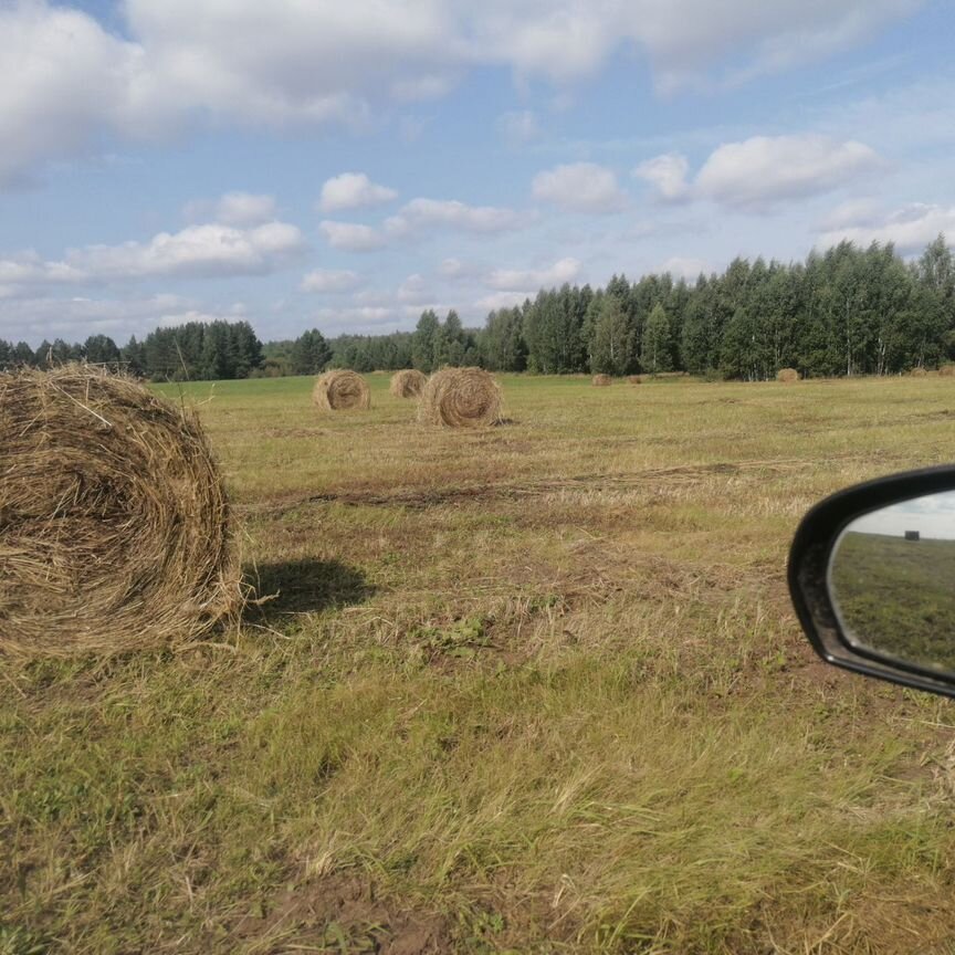 Продам сено в рулонах свежий укос