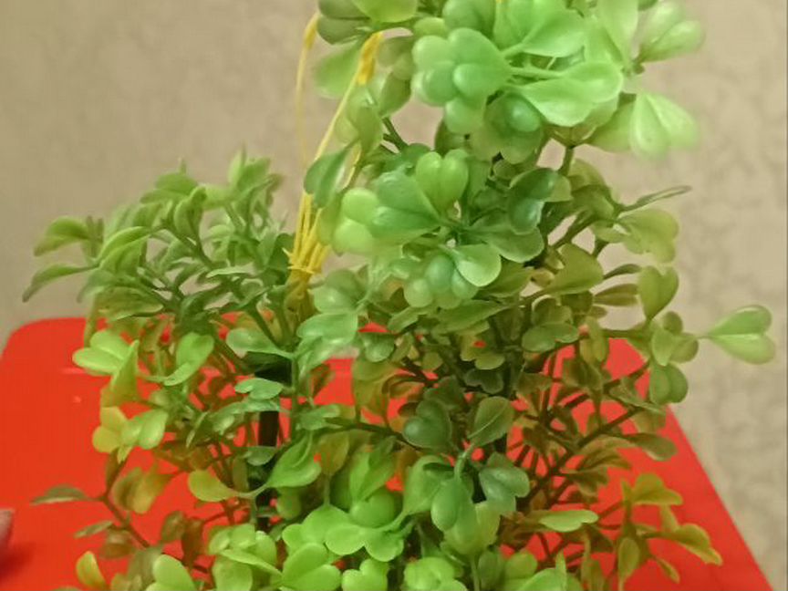 Искусственные водоросли для аквариума