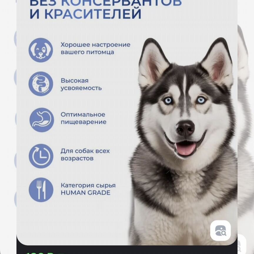 Корм для собак влажный Jarvi