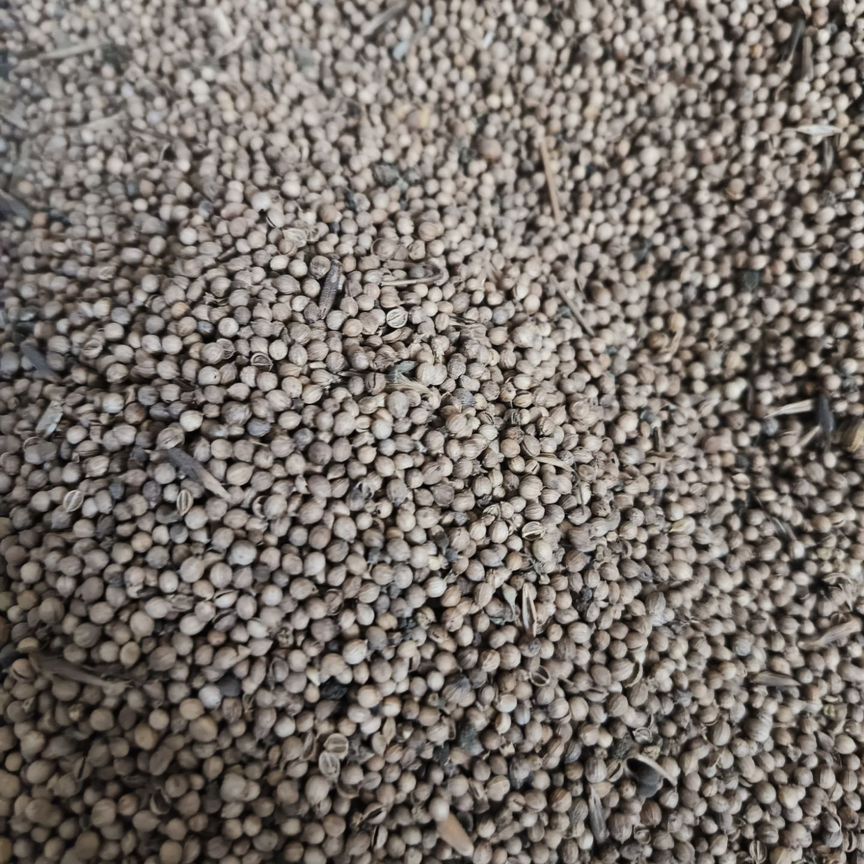 Каряндр Лён Просо