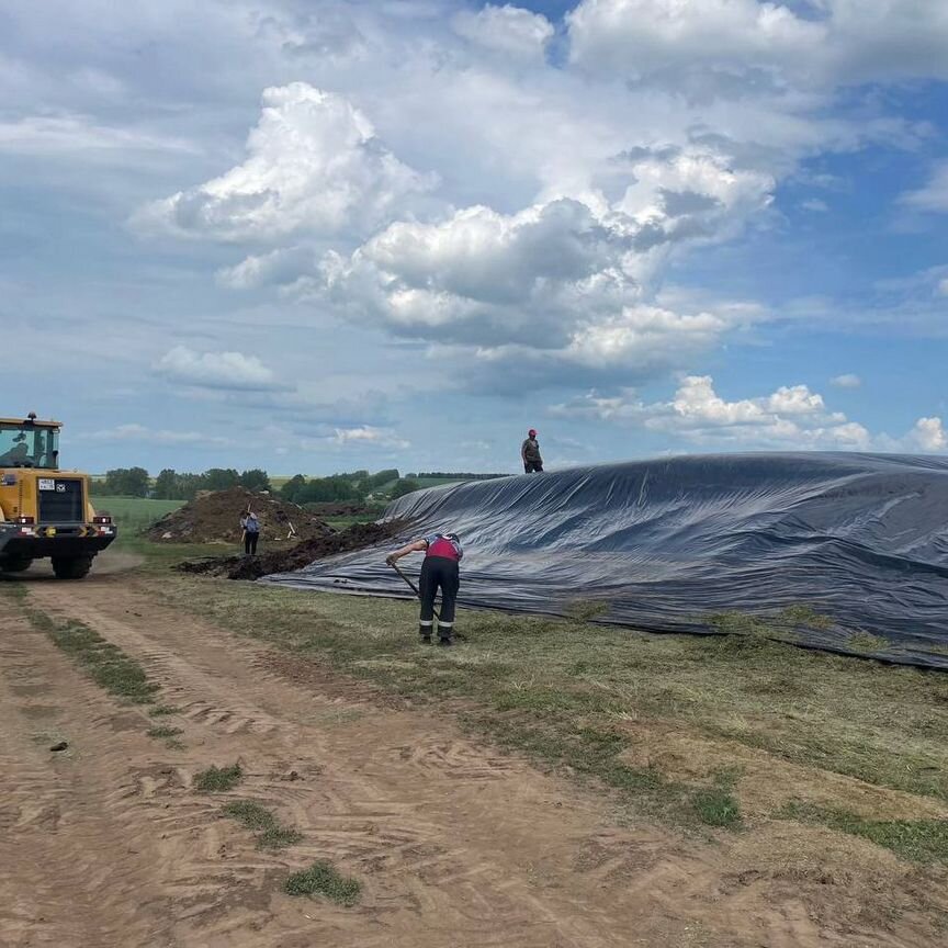 Пленка для укрытия силосных траншей от производите