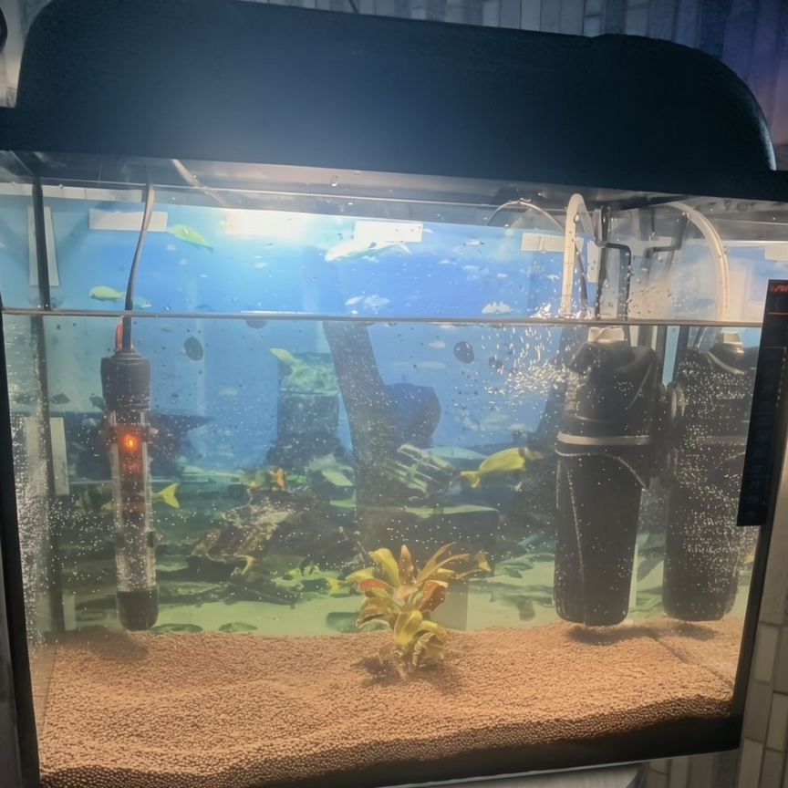 Аквариум