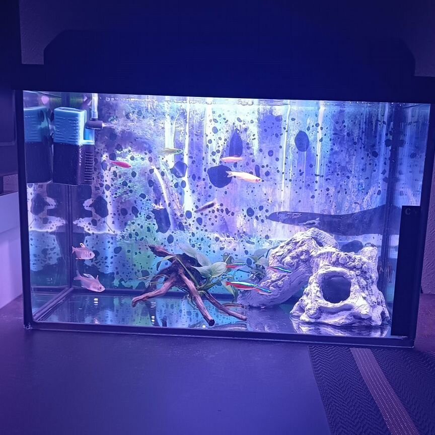 Аквариум 20 литров