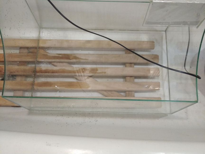 Аквариум для черепах, полюдариум