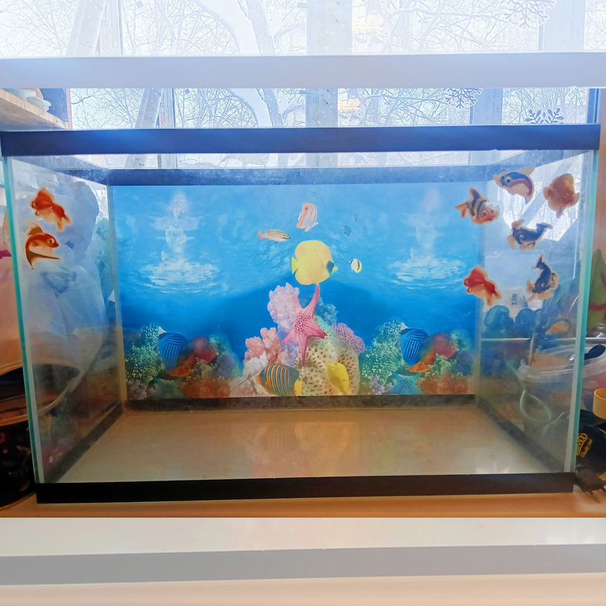 Аквариум