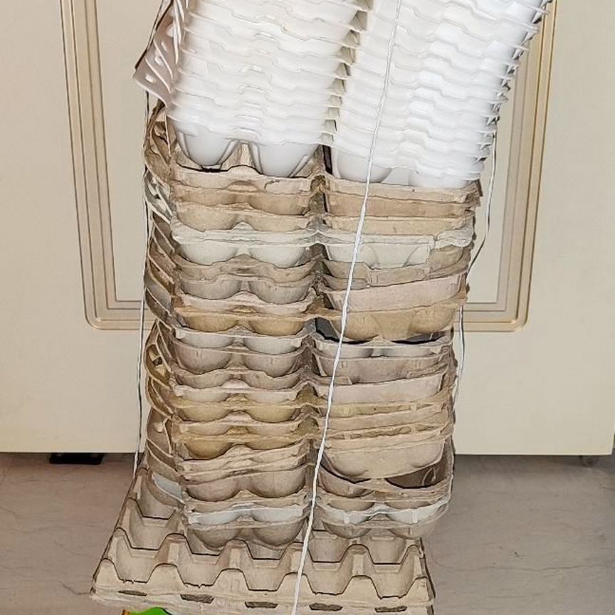 Ячейки для яиц