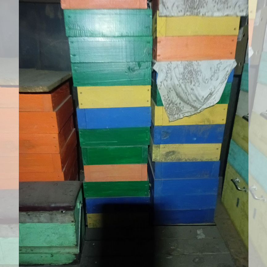 Альпийские ульи