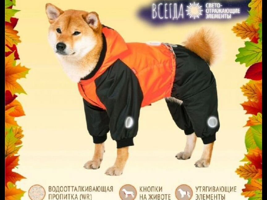 Одежда доя собак
