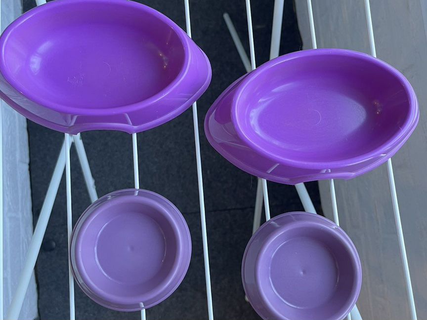 Миска для животных