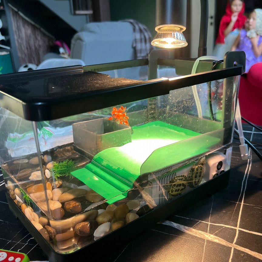 Красноухие черепахи мини 2 шт. С аквариумом и тд