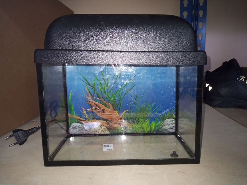 Аквариум 5 литров