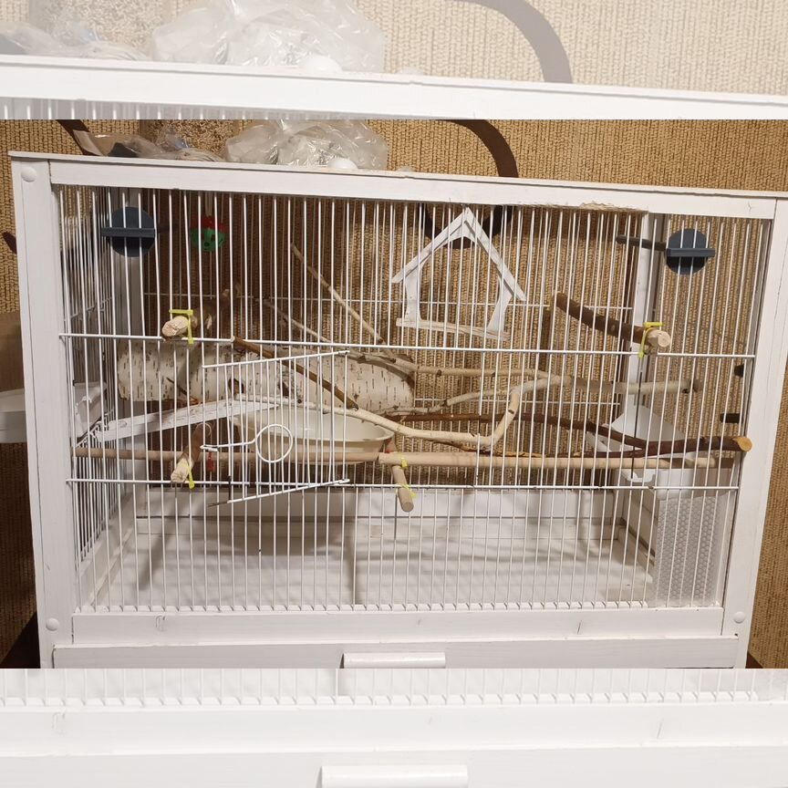 Клетка и другое