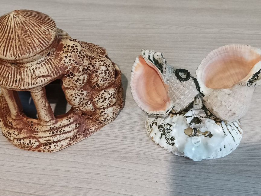 Домик и ракушка для аквариума