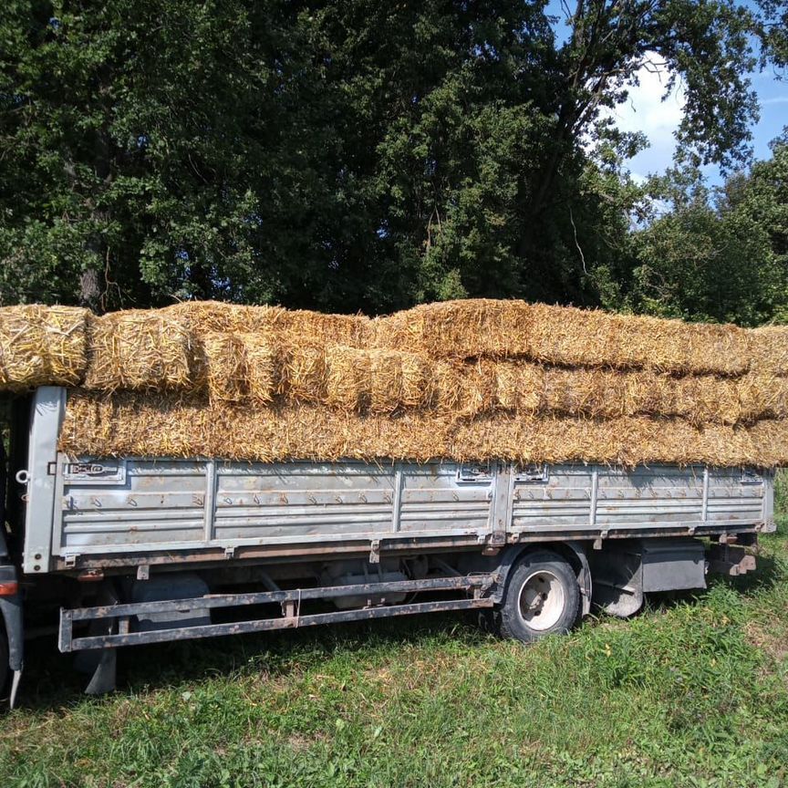 Солома в тюках