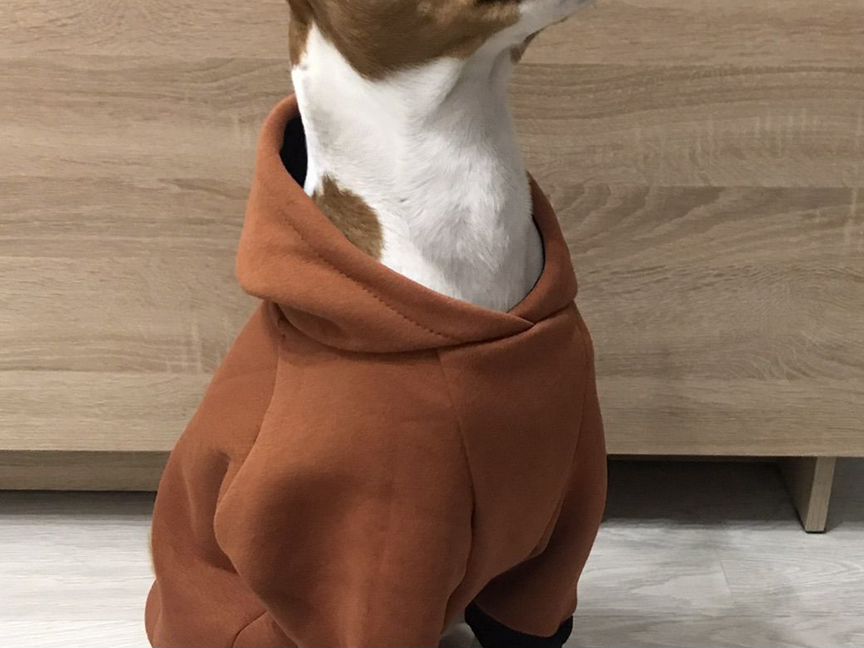 Одежда для средних пород собак, худи